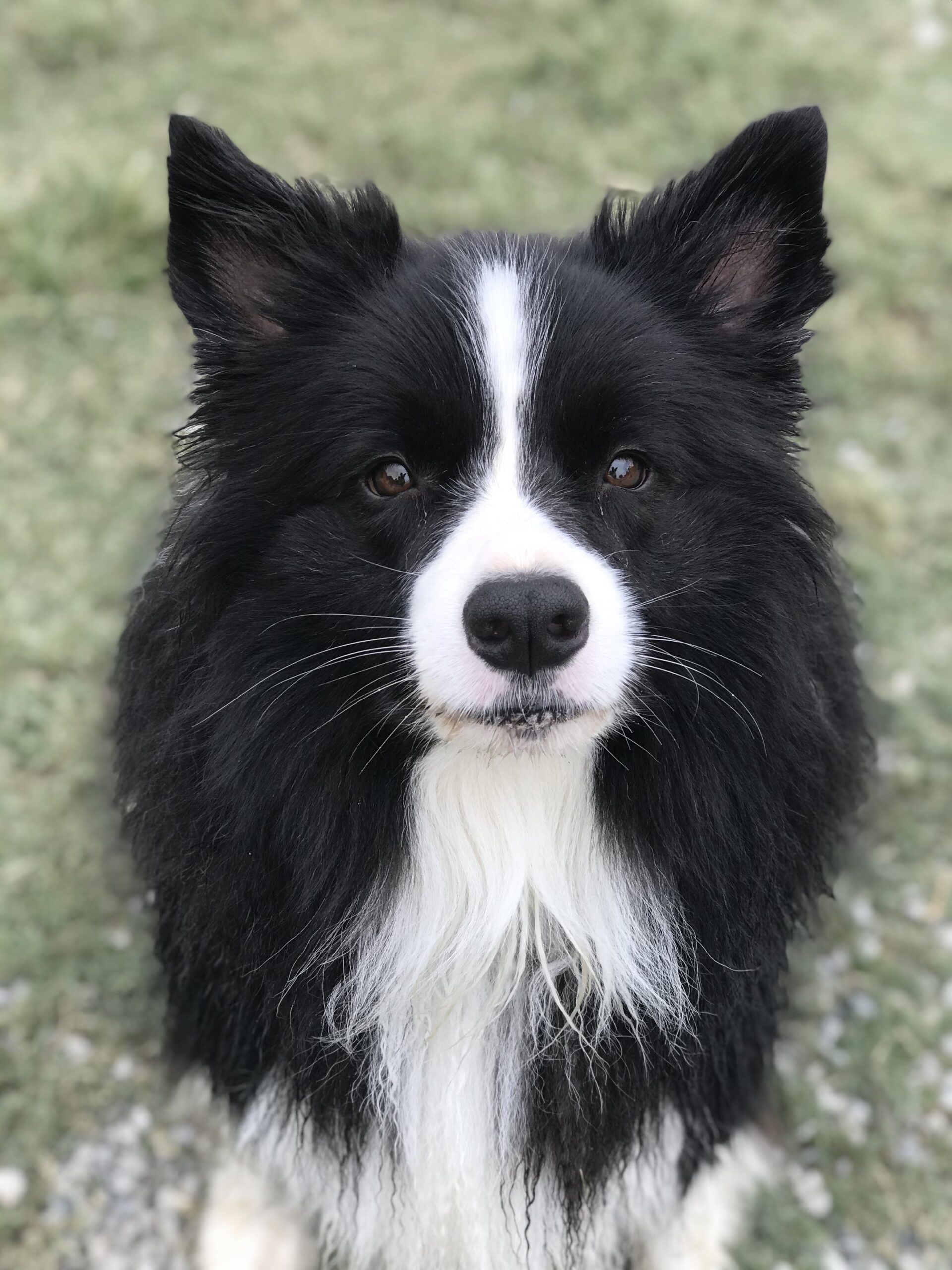 Contact Us | Woodpoint Bed & Biscuit